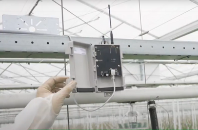 How to solve a malfunction of the Grodan GroSens sensor? | Hortispares