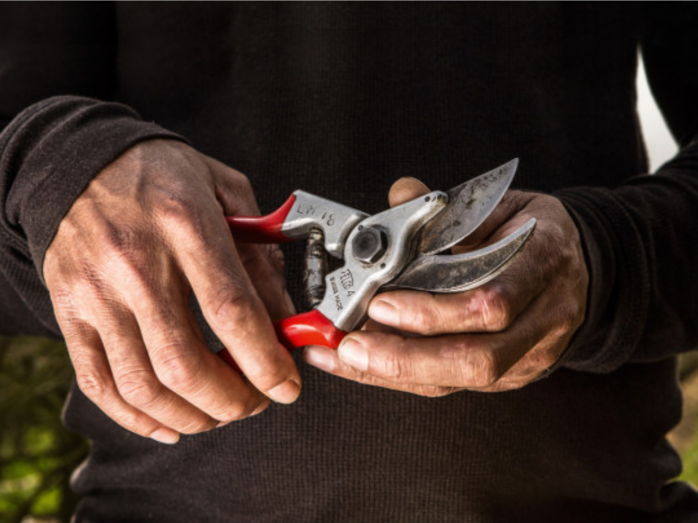 Felco pruning scissors number 4 - Hortispares